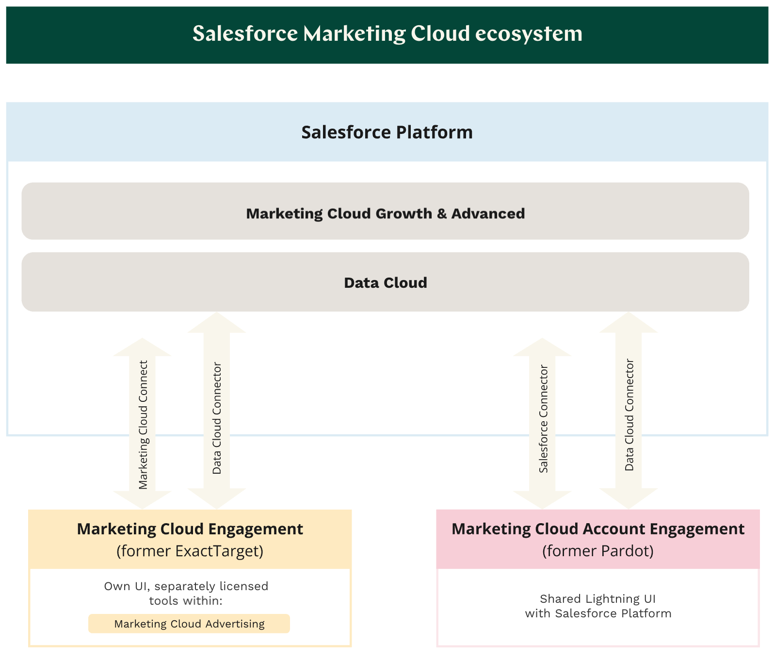Salesforce Marketing Cloud explained: choosing the right platform for your business